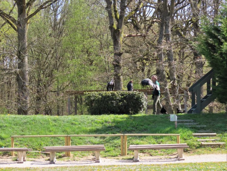 Animations & Sorties - Espace Rambouillet, parc de loisirs Nature